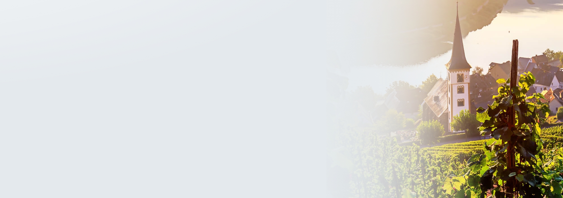 Weiterbildung und Umschulung in Rheinland-Pfalz | COMCAVE